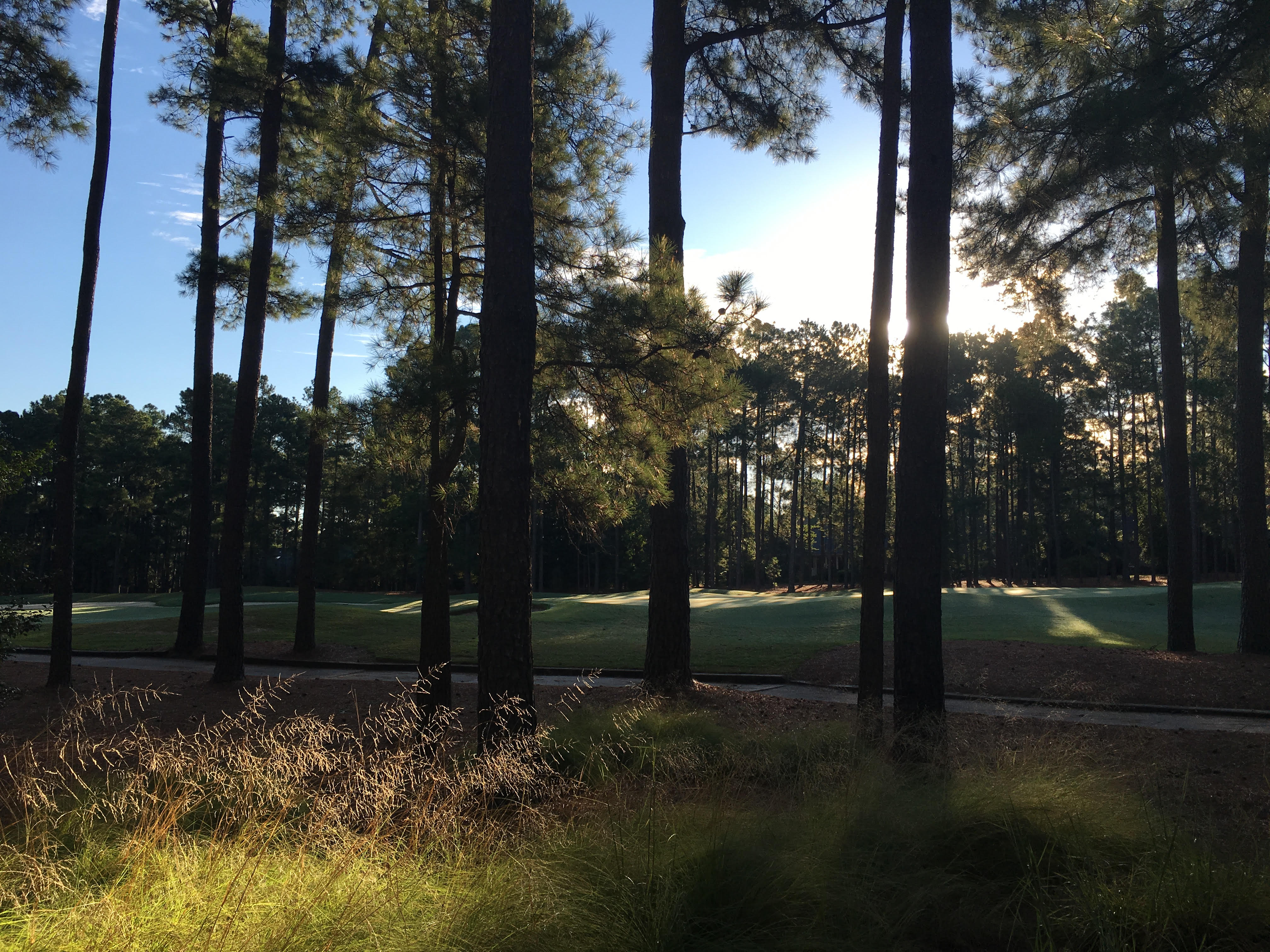 Pinewild Property Owners Association Information